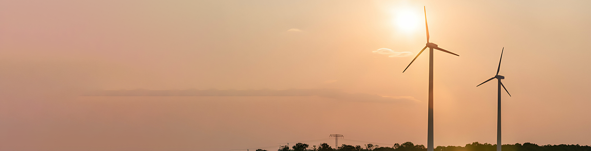 Net Zero Transitions - Insights KSA